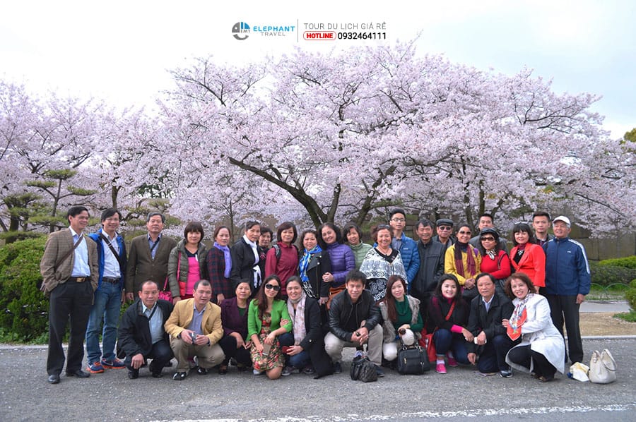 Sự khác biệt giữa du lịch trong nước, quốc tế và nội địa - Cung cấp ...